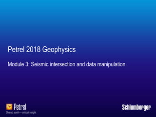 Petrel F 3 seismic intersections and data manipulation 2018 v1.1 | PPTX