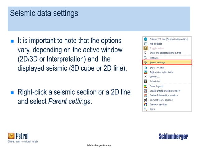 Petrel F 3 seismic intersections and data manipulation 2018 v1.1 | PPTX | 3-D Graphics ...