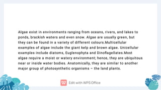 Algae-WPS_Office(1).pdf