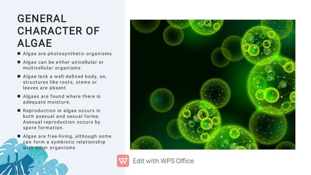 Algae-WPS_Office(1).pdf | Chemistry | Science