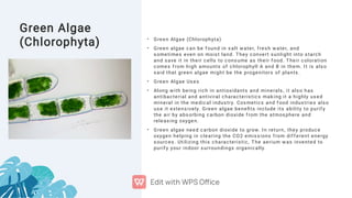 Algae-WPS_Office(1).pdf