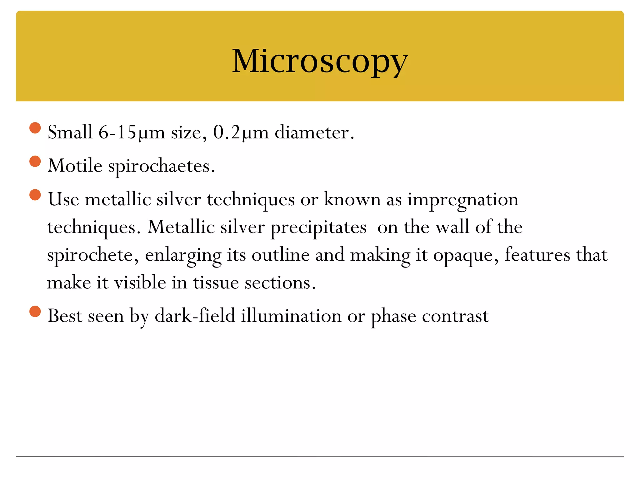 Spirochaetes | PPT