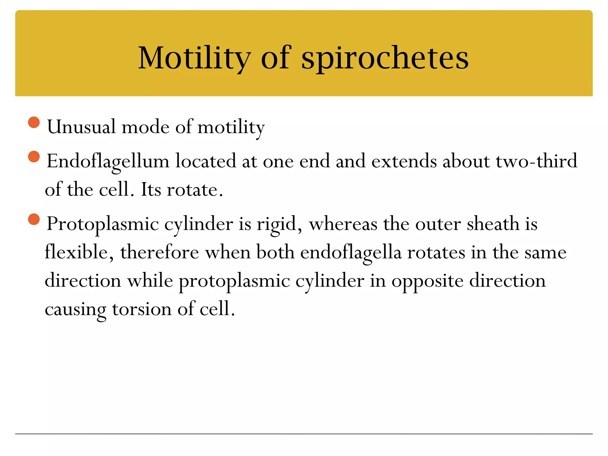 Spirochaetes | PPT