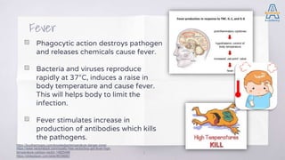 Form 4 Biology Chapter 11 Immunity in Humans | PPTX