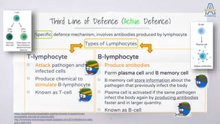Form 4 Biology Chapter 11 Immunity in Humans | PPTX