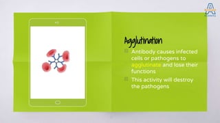 Form 4 Biology Chapter 11 Immunity in Humans | PPTX