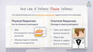 Form 4 Biology Chapter 11 Immunity in Humans | PPTX