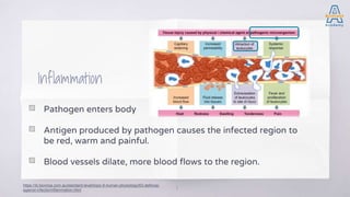 Form 4 Biology Chapter 11 Immunity in Humans | PPTX