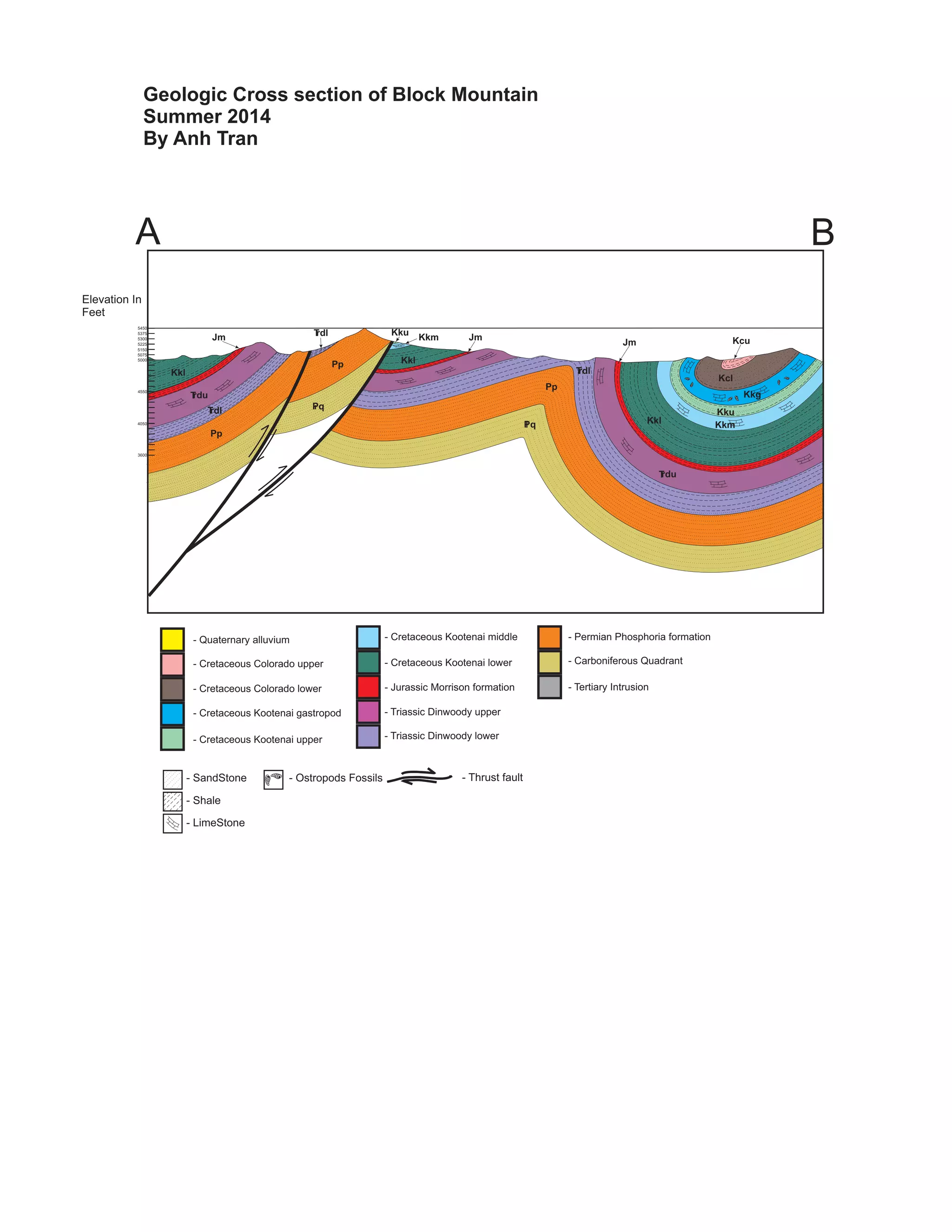 Cross Section | PDF