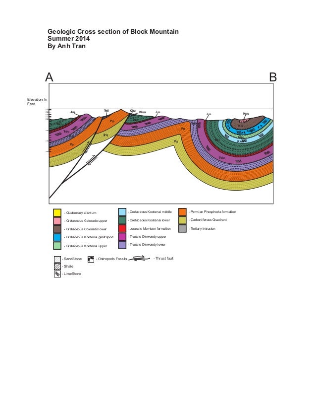 Cross Section