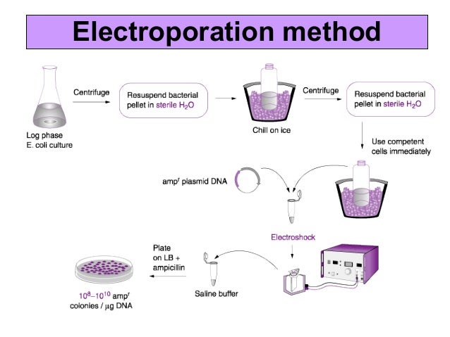 Seminar Presentation-Moon