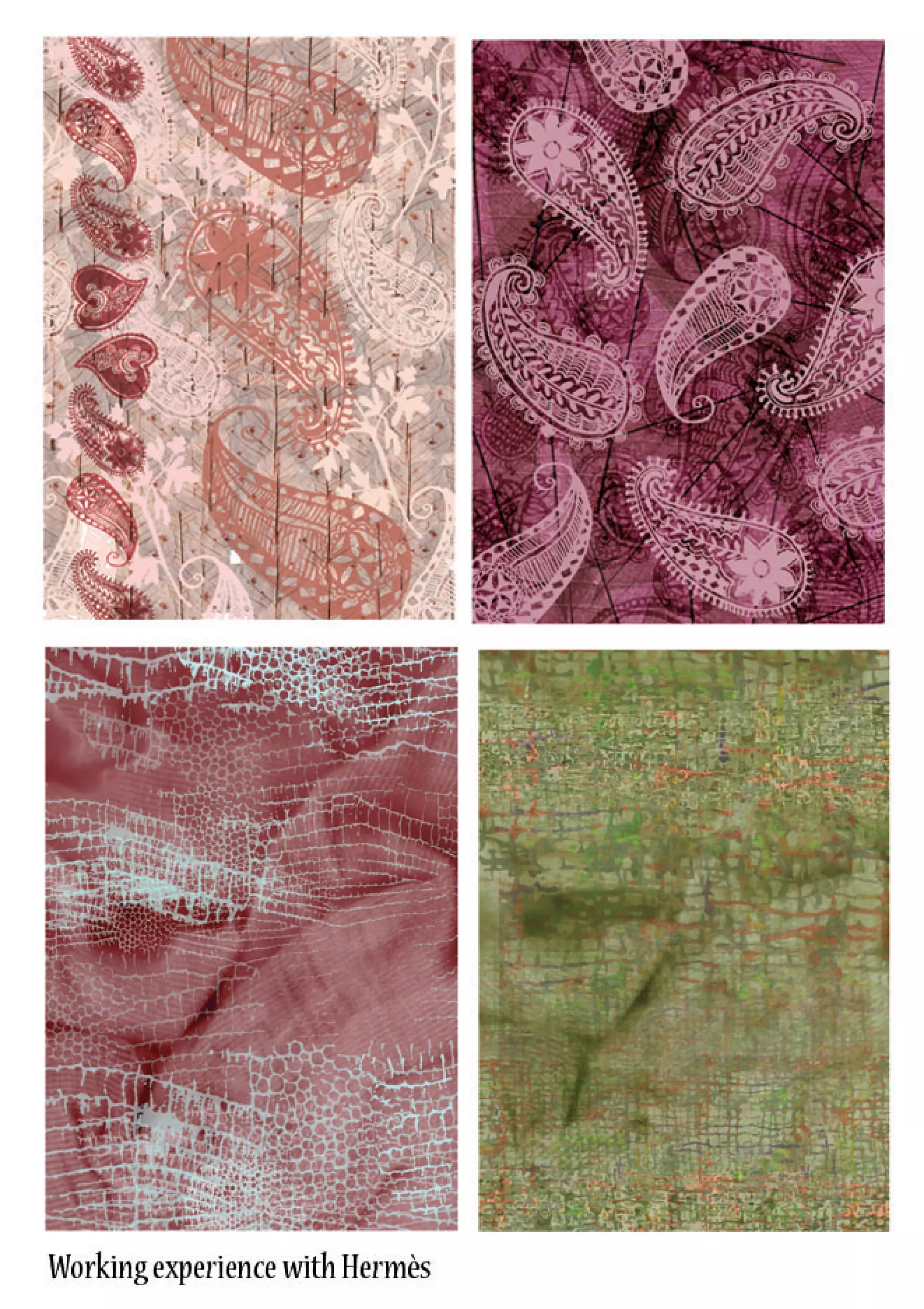 praktikum hermes | PDF