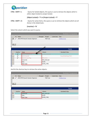 Siebel Power Tools_User Guide_V0.1 | PDF