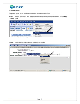 Siebel Power Tools_User Guide_V0.1 | PDF
