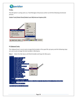 Siebel Power Tools_User Guide_V0.1 | PDF