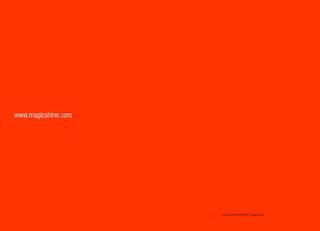 Magicshine pamphlet | PPT