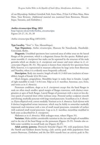 2075-G-3-layout | PDF