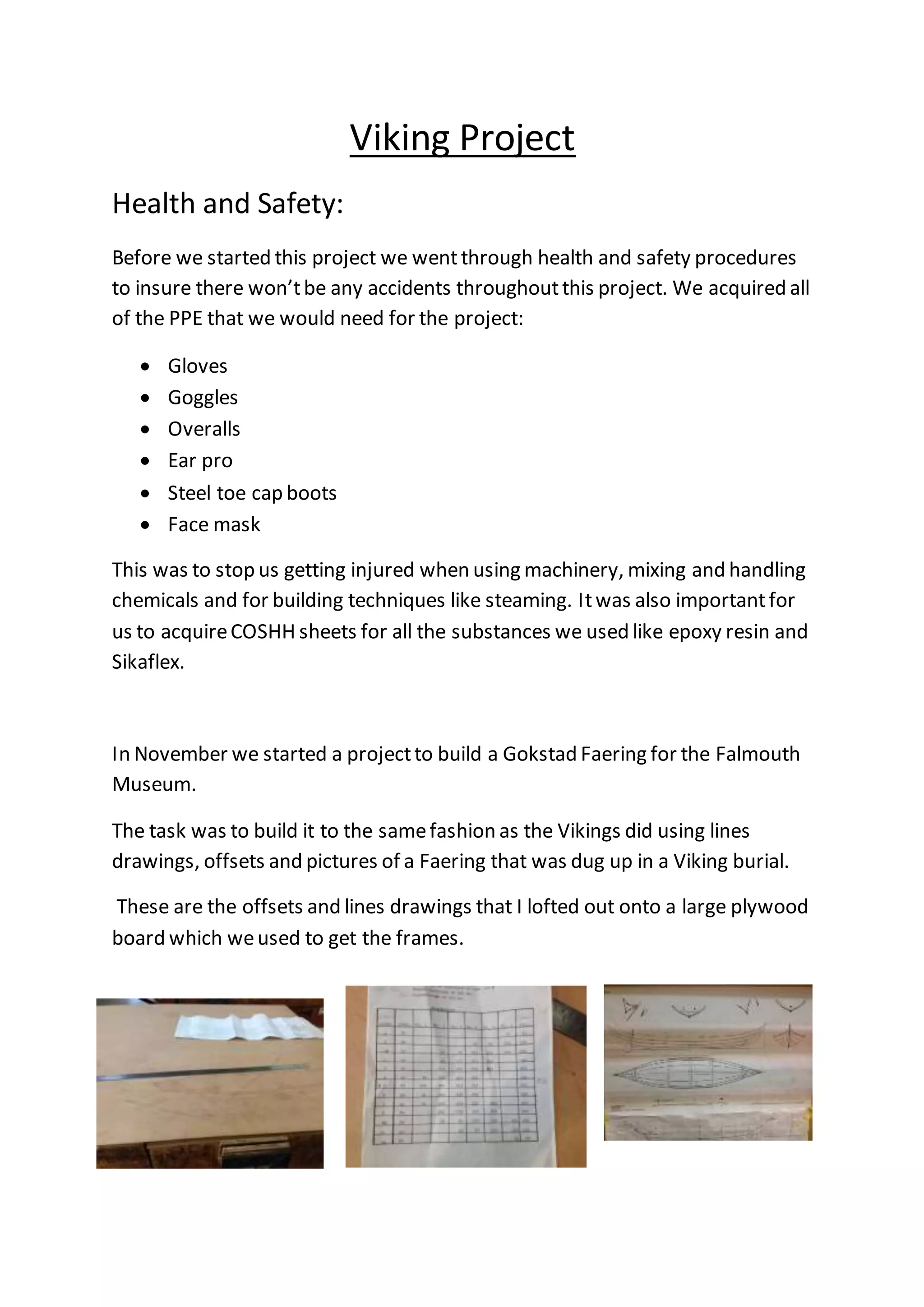 Viking Project | PDF