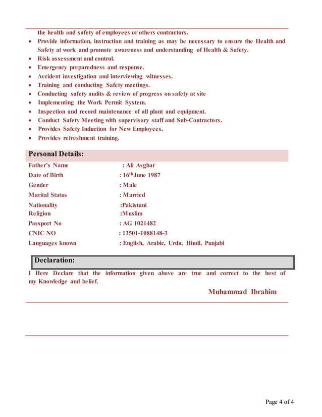 ( IBRAHIM CV ) | PDF