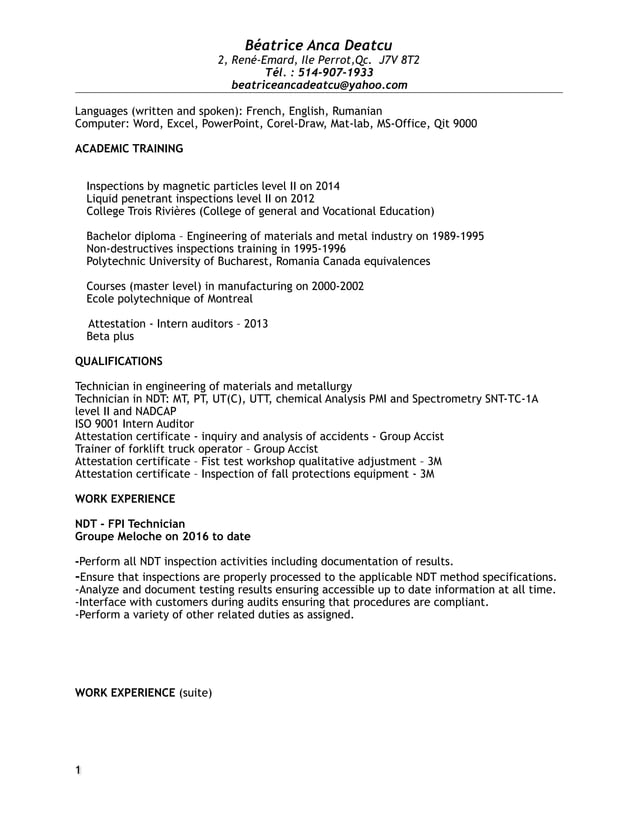 CV Anca Beatrice Deatcu E | PDF | Business | Business and Finance