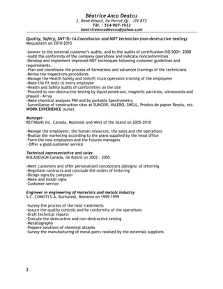 CV Anca Beatrice Deatcu E | PDF | Business | Business and Finance