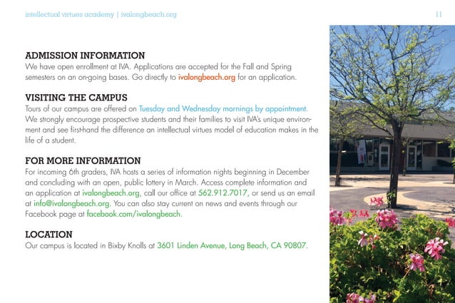 brochureIVA_finalweb | PDF | Professional School | Postgraduate Education