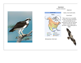 RaptorIDs | PPT