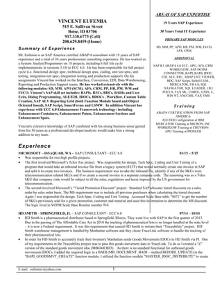 Eufemia Vincent Resume | DOC