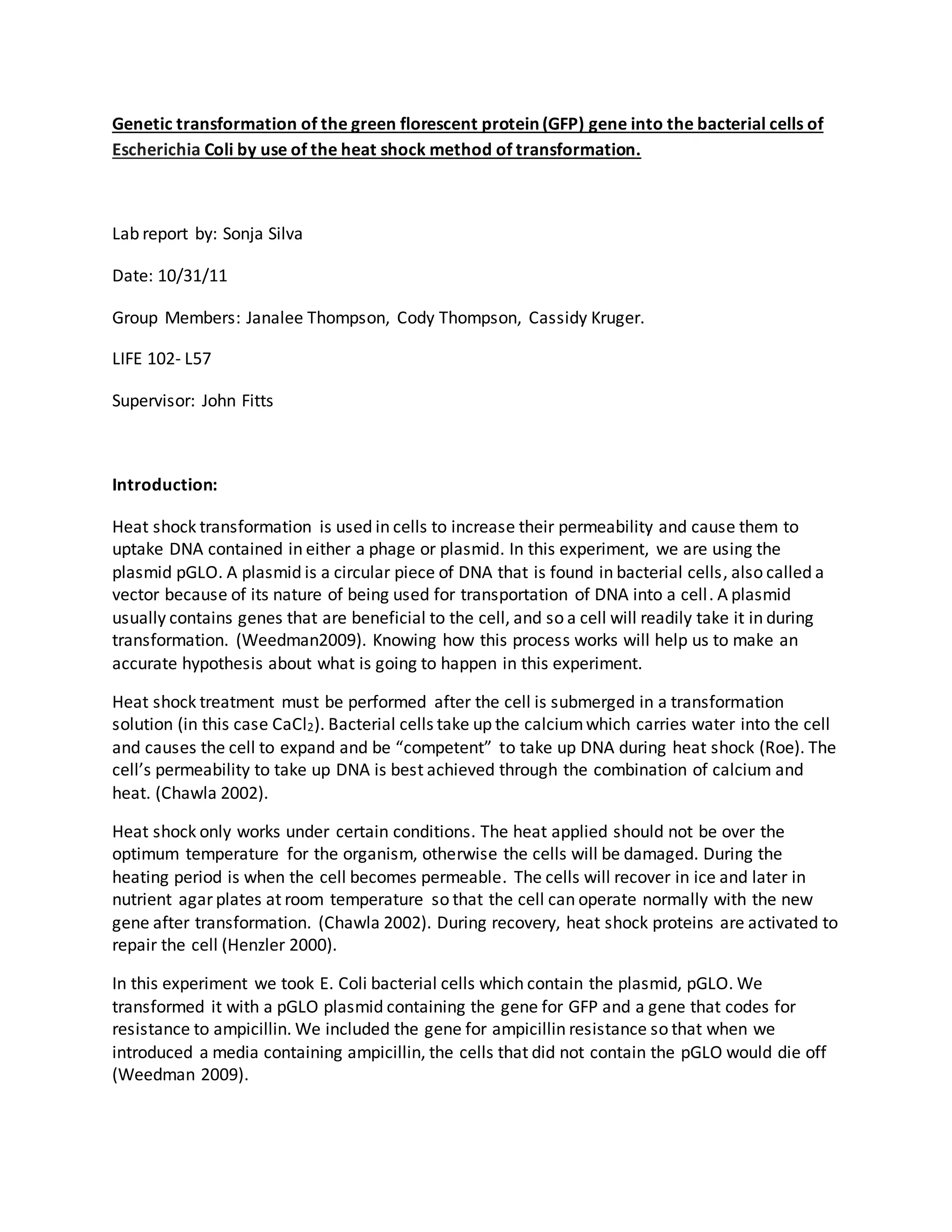 Genetic Transformation Lab | DOCX