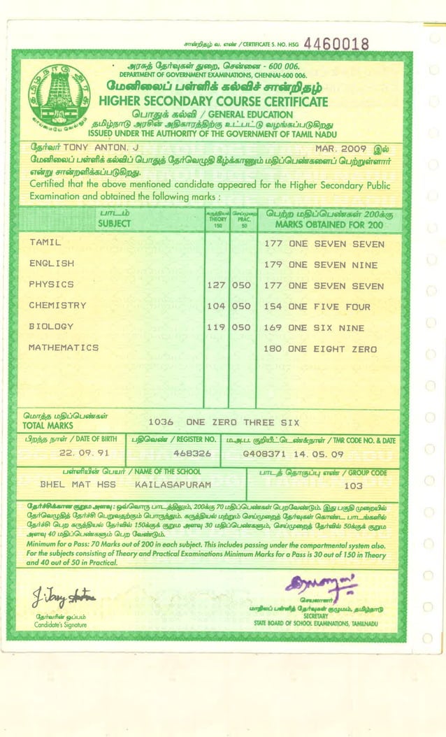 12th Mark sheet | PDF