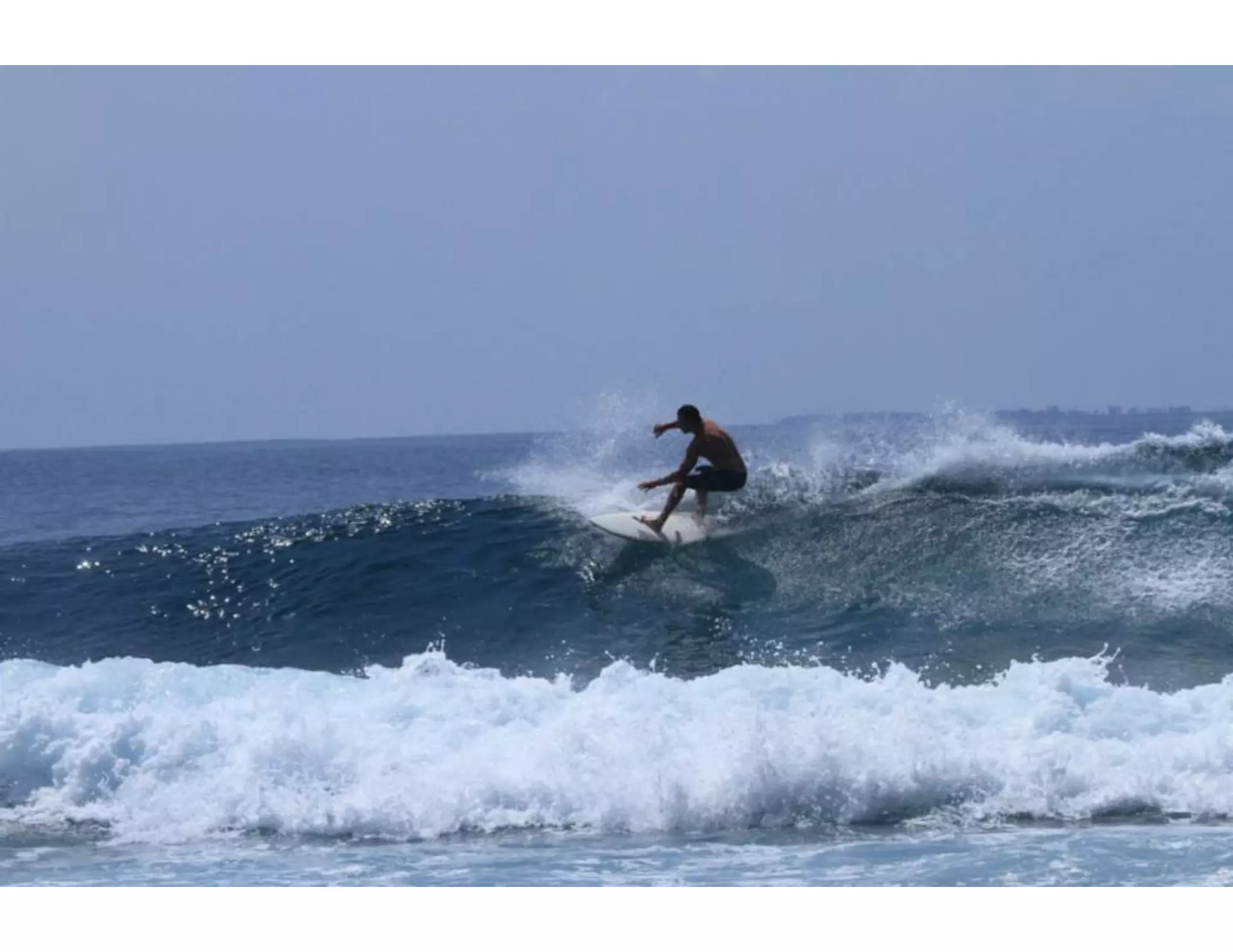 Bill Malloy Venture Capital Surf 31 | PDF