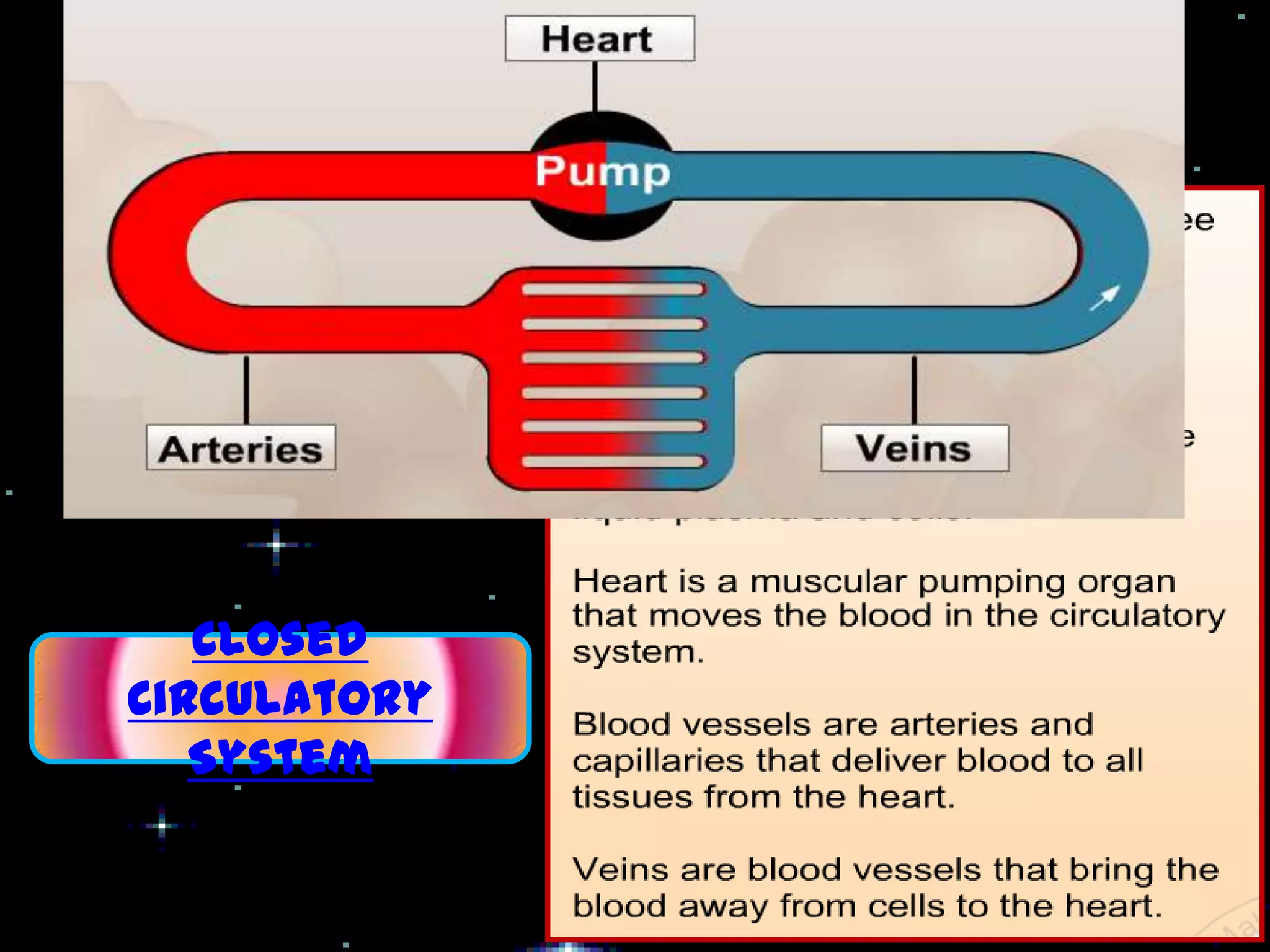 F5 1.2 circulatory systems in insects, fish, amphibians (1) | PPT