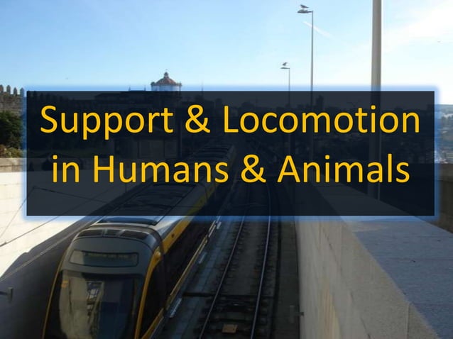 F5 2.1 support & locomotion in humans & animals | PPT