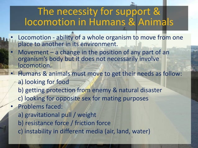 F5 2.1 support & locomotion in humans & animals | PPT