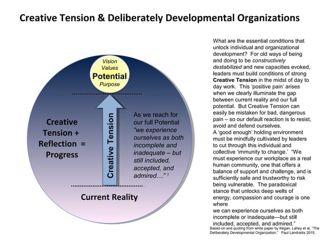 Visualization of Deliberately Developmental Organizations | PPT