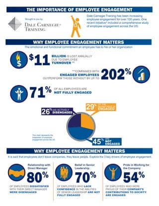 INFOGRAPHIC_2013_FLYER_N.A. | PDF