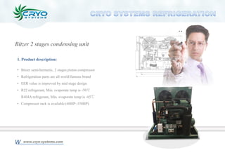 Bitzer 2 stages condensing unit | PDF