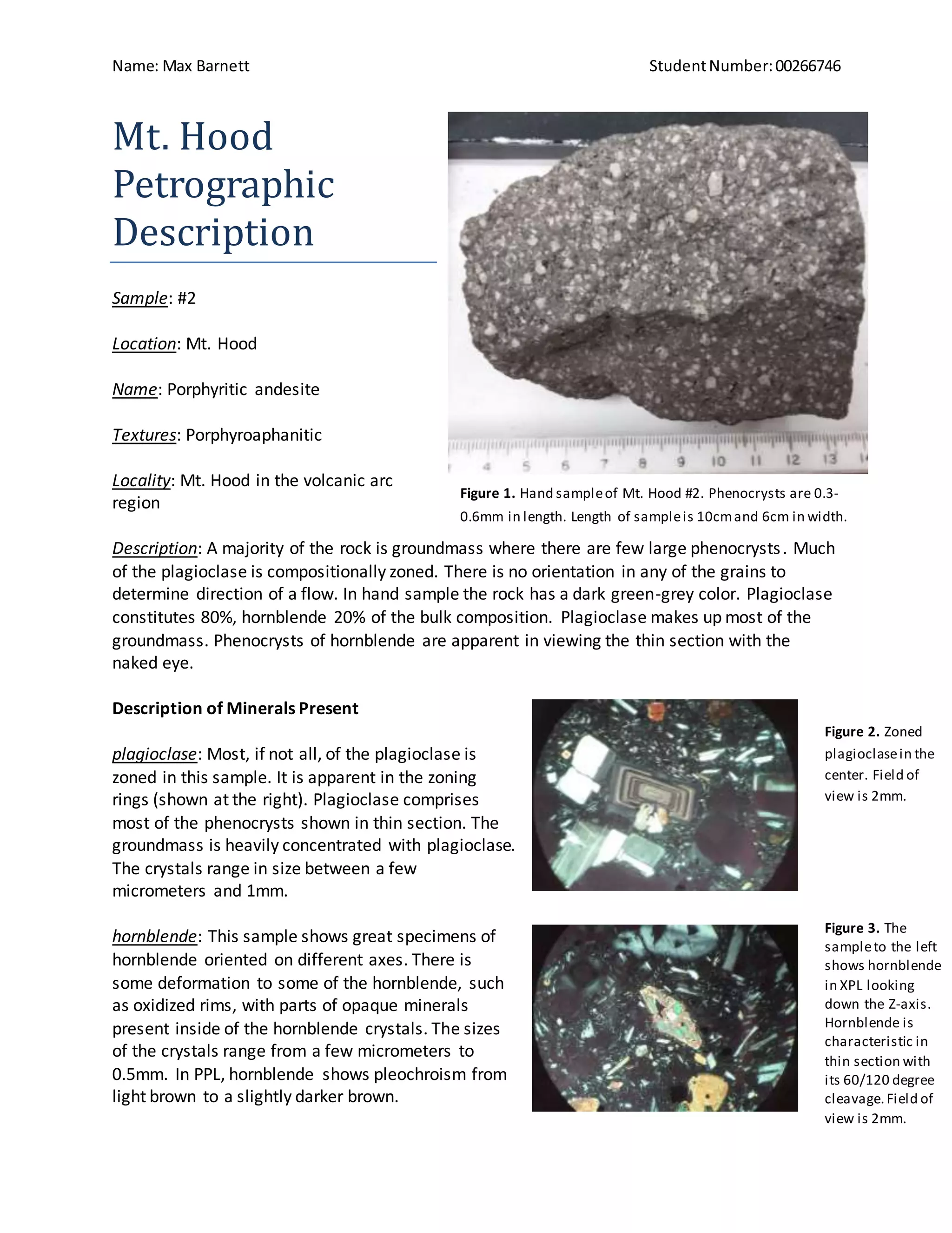 Mt. Hood and CRB-17 Petrographic Description, 2016 | DOCX