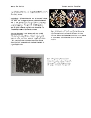 Mt. Hood and CRB-17 Petrographic Description, 2016 | DOCX