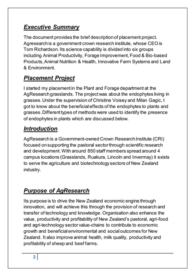 Work Placement Report-Abhishek | PDF