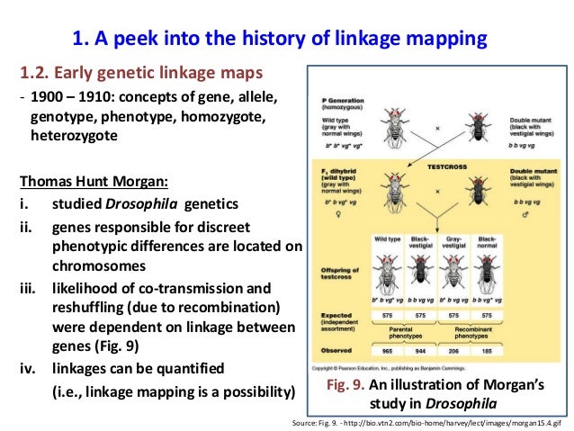 Linkage mapping and QTL analysis_Lecture