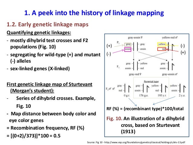 Linkage Mapping And Qtl Analysis Lecture