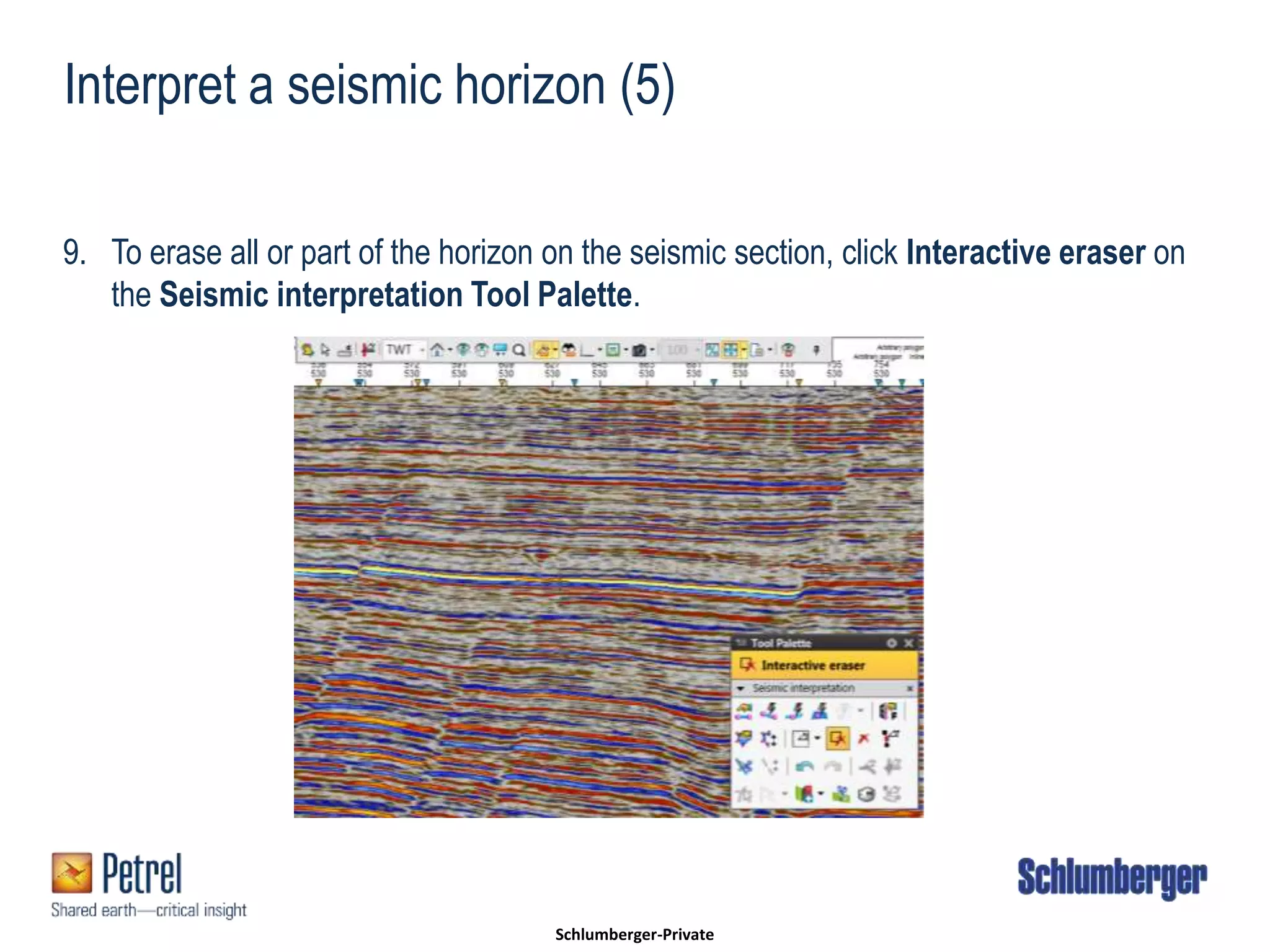 Petrel F 5 horizon interpretation 2018 v1.0 | PPTX