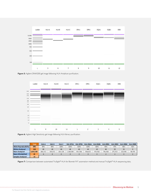 Illumina TruSight HLA Sequencing Panel_Biomek FXP Automated Workstation | PDF
