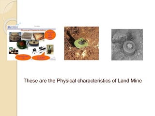 landminedetectionusingimpulsegroundpenetratingradar-130402084311 ...