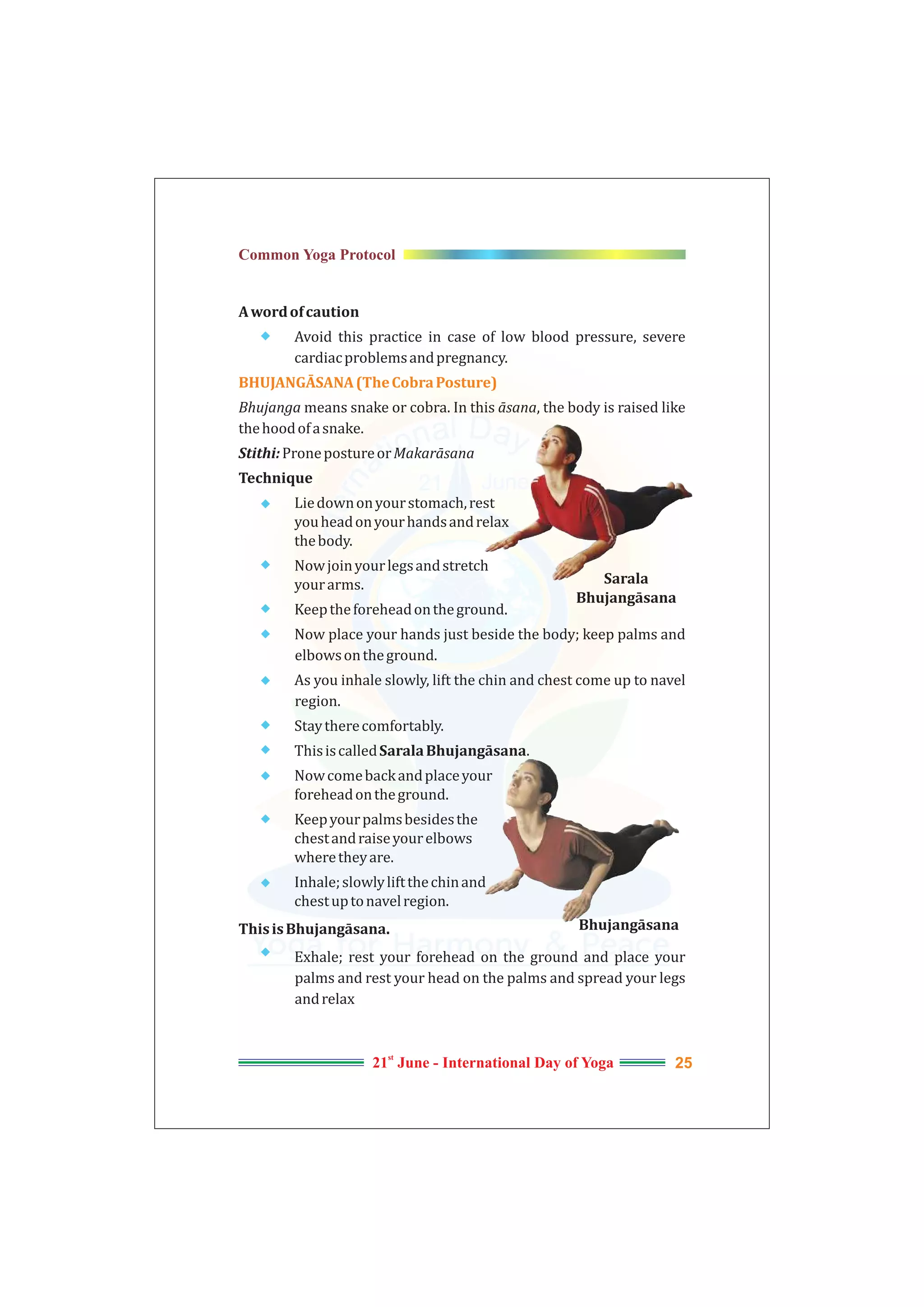 CYP_Booklet_IDY_ English | PDF