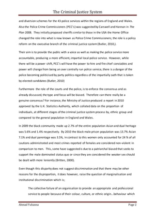 Criminal Justice System assignment | DOCX