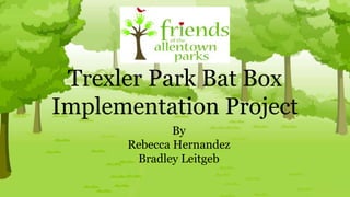 Bat Presentation | PPT