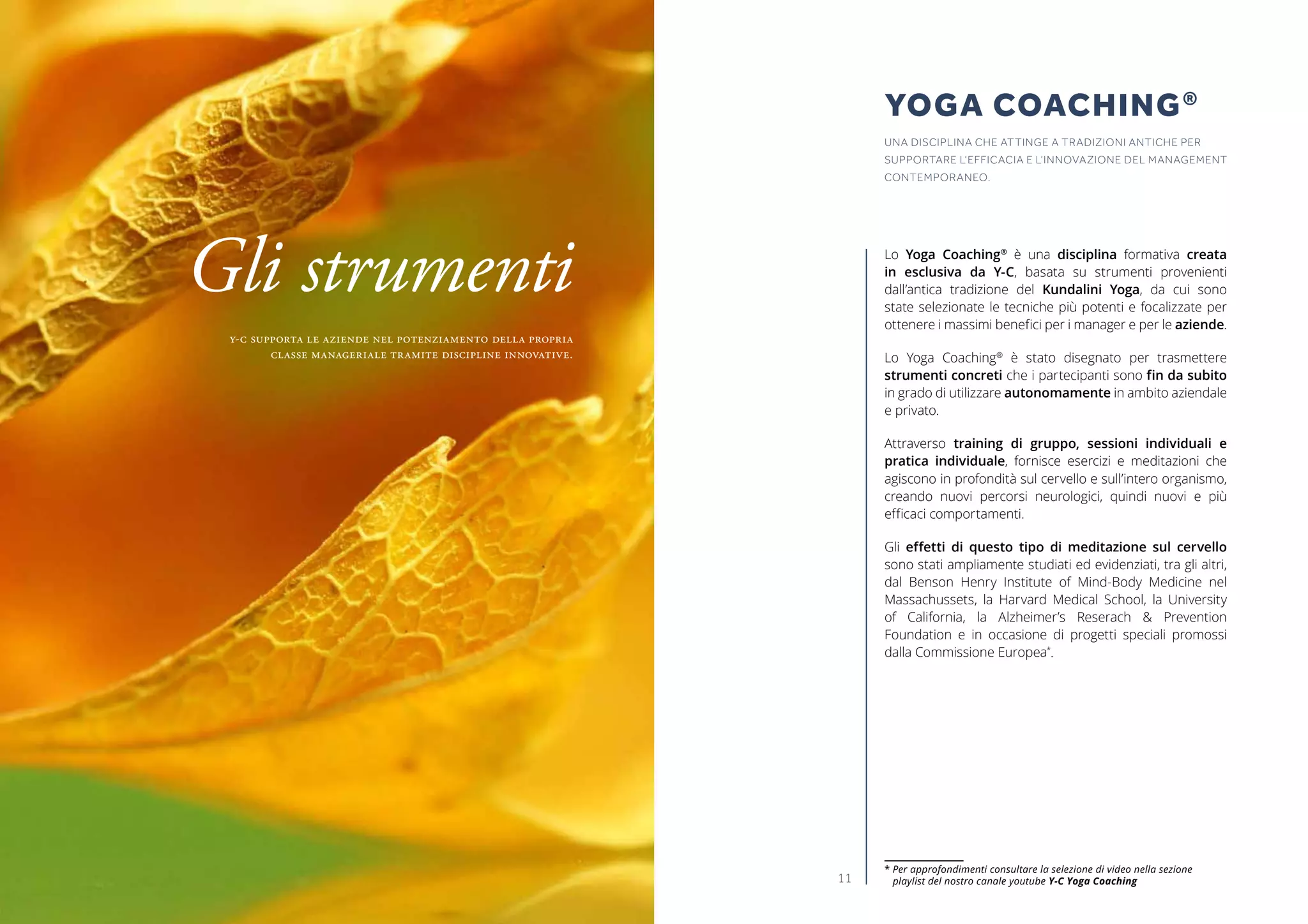 Y-C Yoga Coaching | PDF