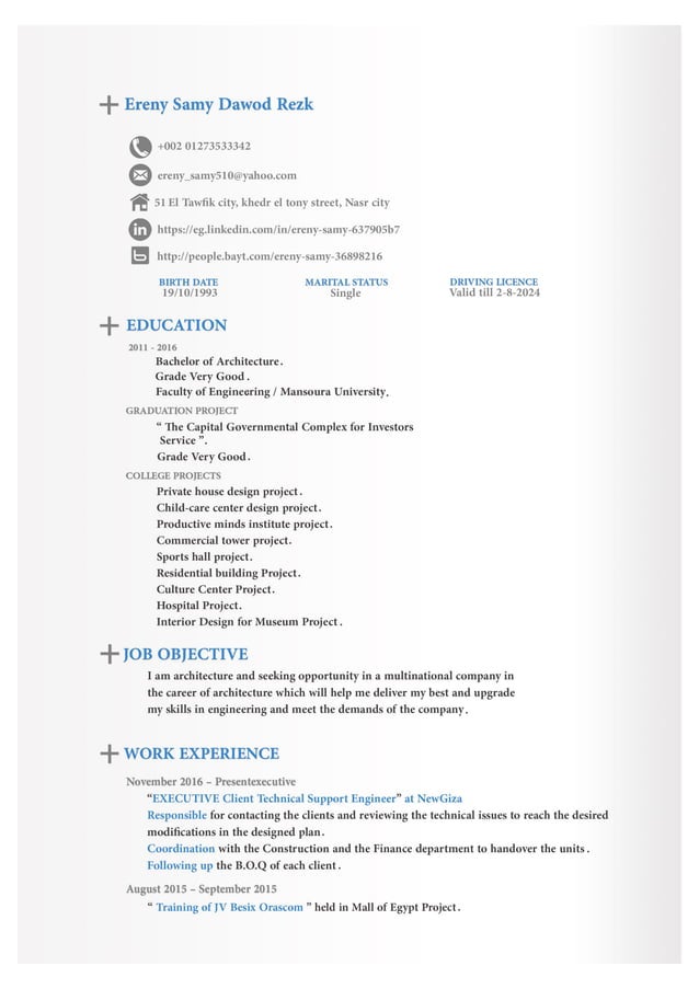 Ereny Samy Dawod - resume | PDF | Careers